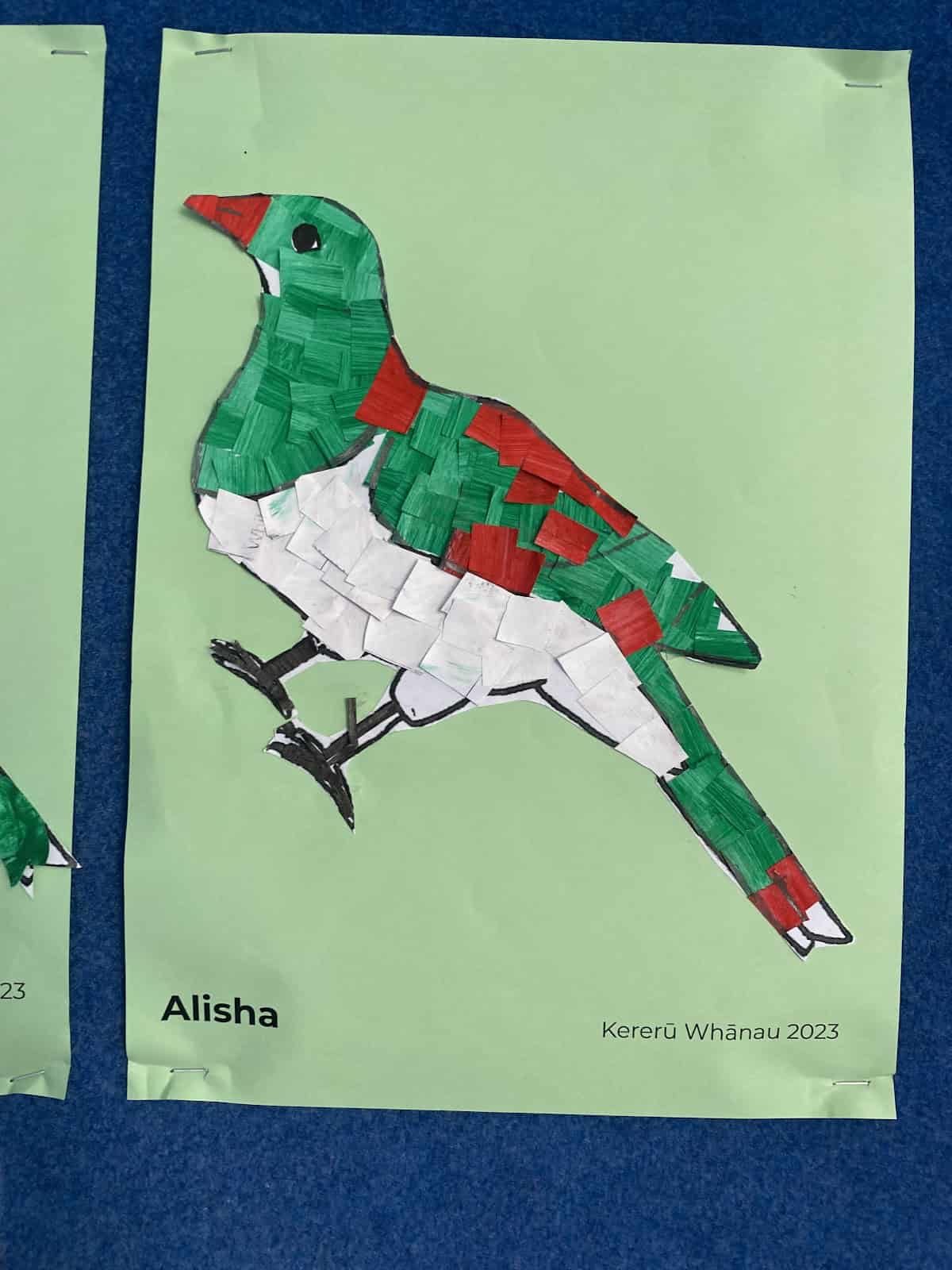 Year 4-6 News Archive | Bell Block School